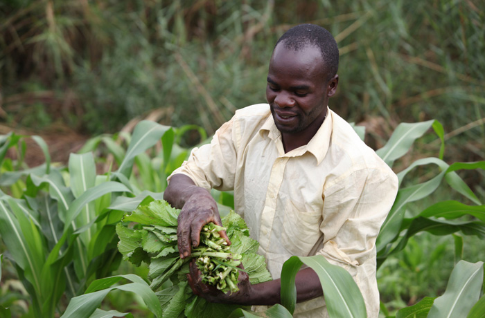 Zambia, US expand scope of $491 million agricultural grant to ...