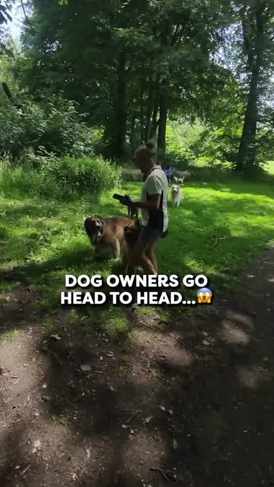 Dog walkers face off - "Move your dog!"