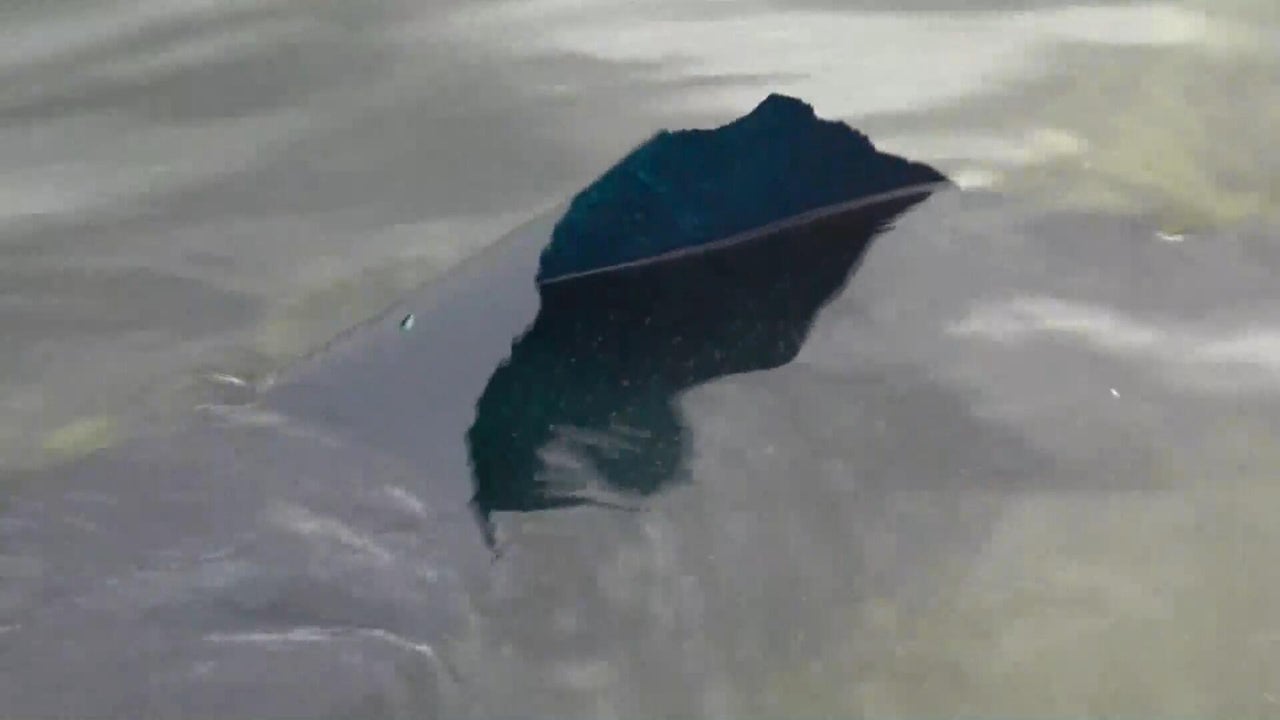 Paint peeling in Reflecting Pool after multimillion-dollar makeover