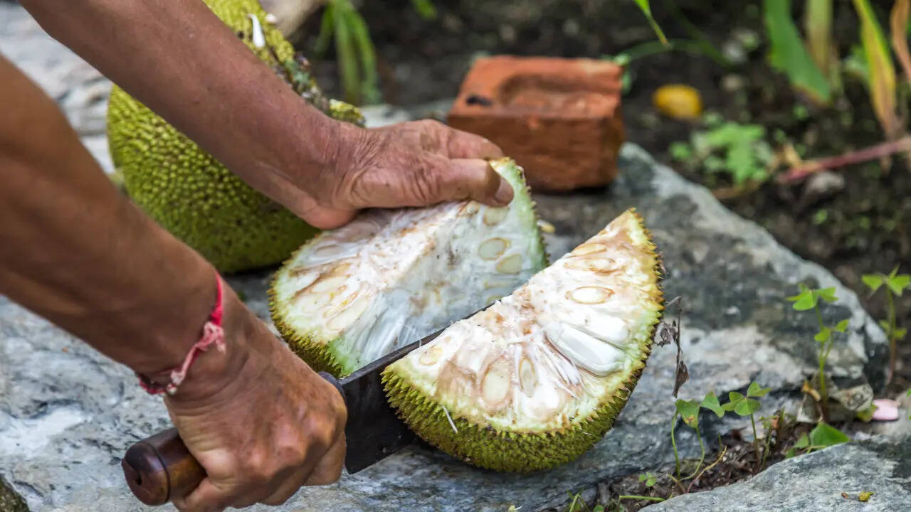 10 regional jackfruit dishes from across the world and why it is ...