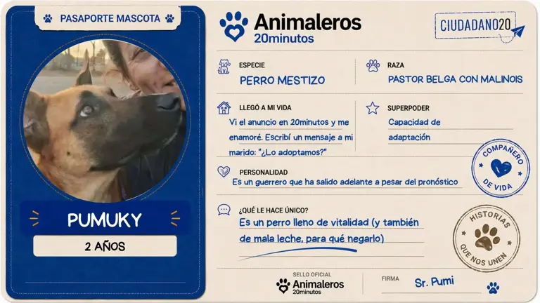 Pumuky, el perro que encontró familia gracias a un artículo de ...