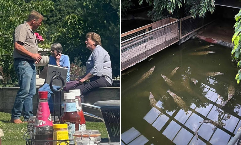 Zookeeper who saved boy, three, as he was 'attacked by crocodile' after ...