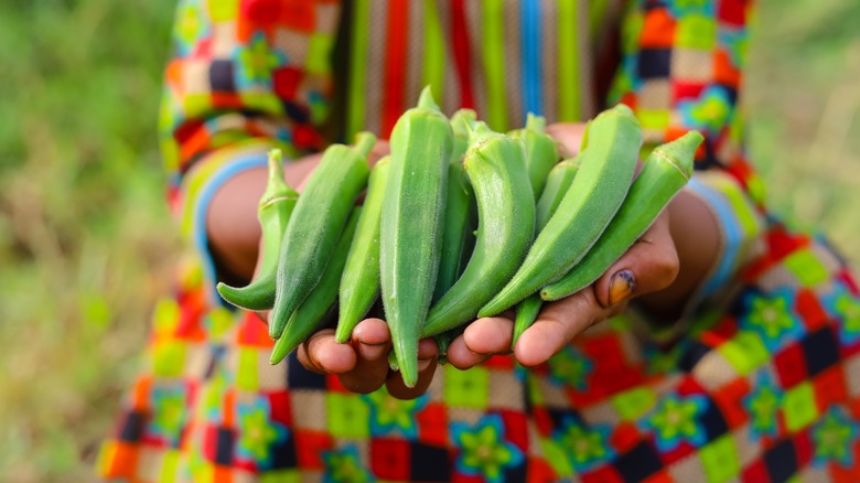 What is okra and how do you cook it?
