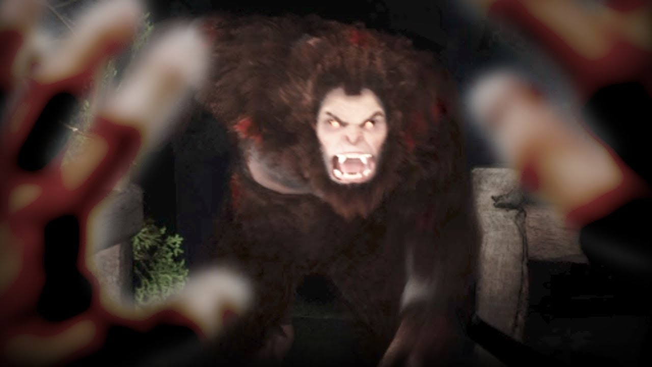 Is Bigfoot Actually Real? — Finding the Bigfootus
