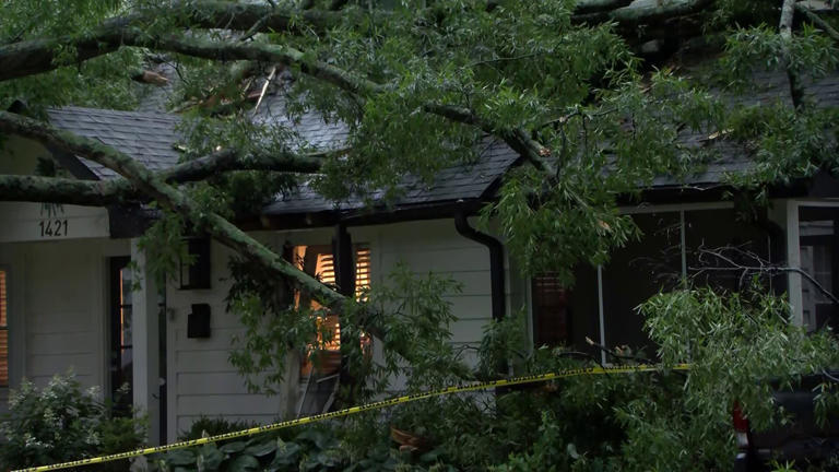 Large tree falls onto house during rain storm in Charlotte