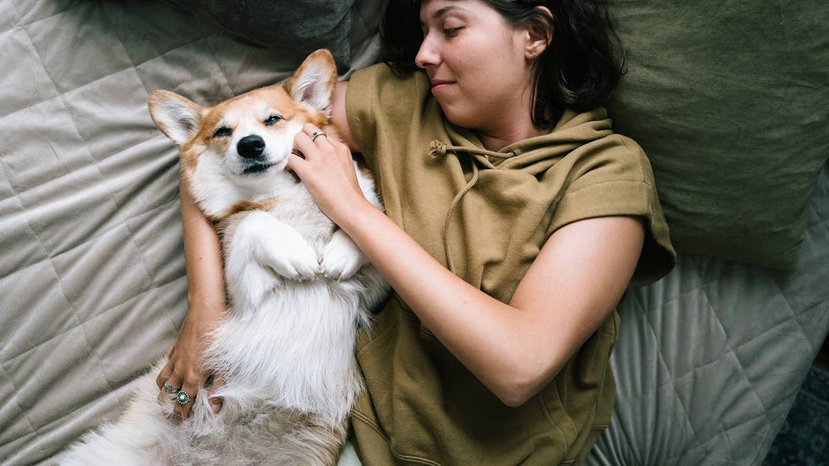 If your dog sleeps like this, it’s a sign they feel safe