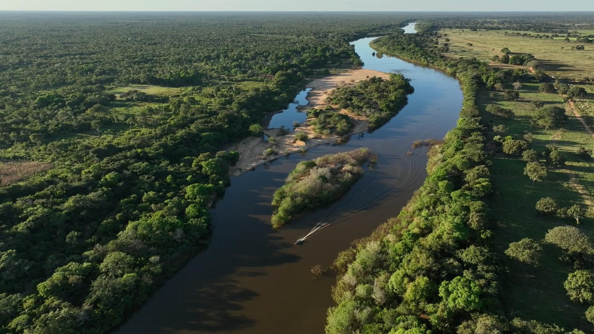 A conflict over cattle in Brazil's Amazon highlights tensions for ...