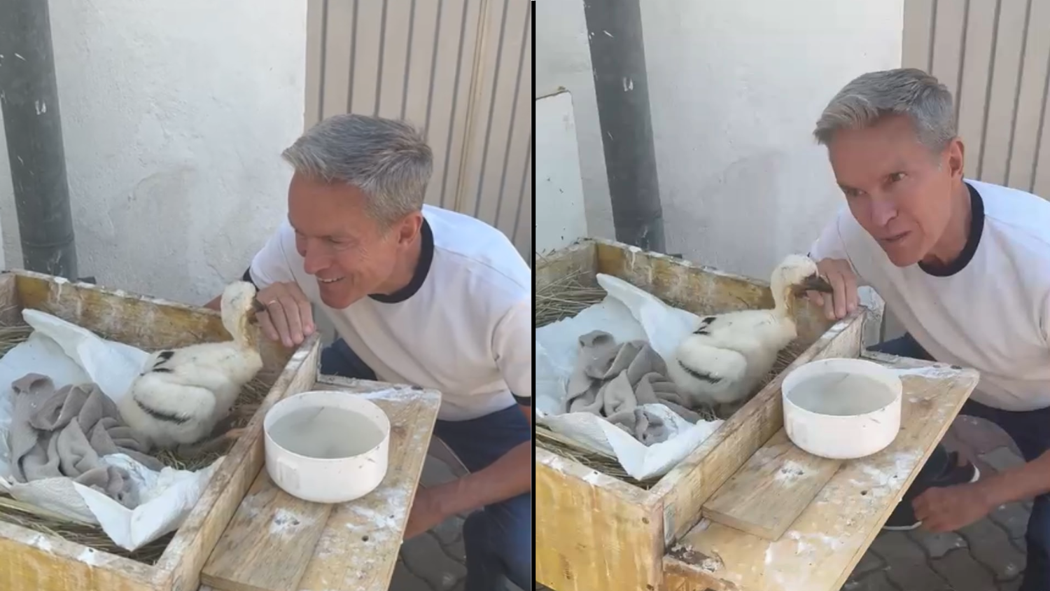 Dieser Nachwuchs hält Alfons Haider auf Trab