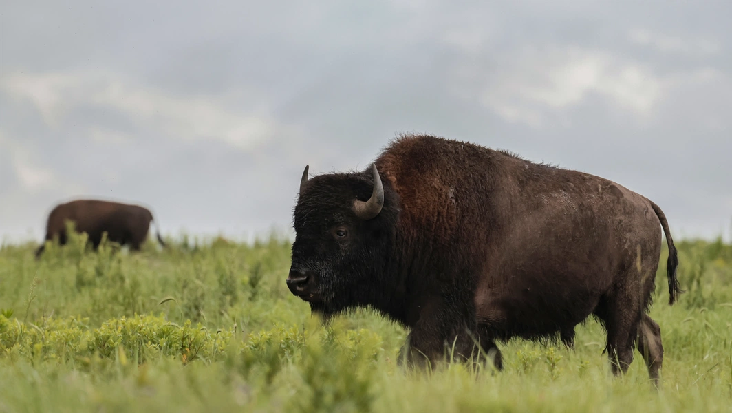 14 remarkable US wildlife refuges to explore