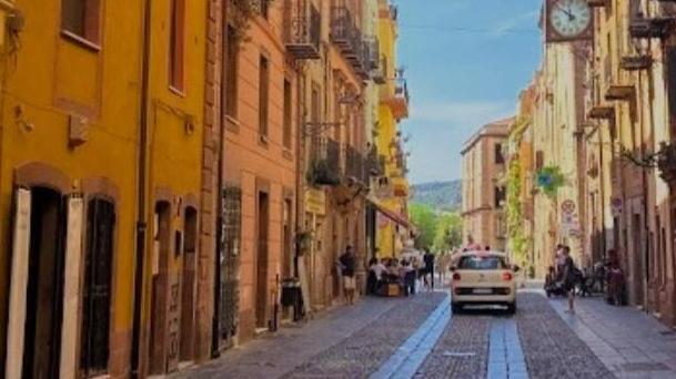 West Nile a Bosa, il sindaco Marras ordina la disinfestazione