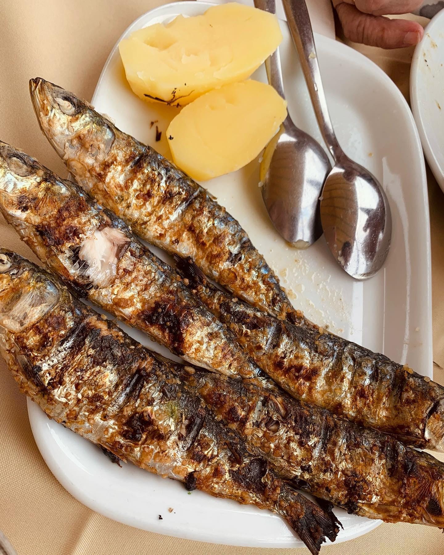 Ninguém acredita que esta celebridade foi comer peixe fresco nesta vila ...