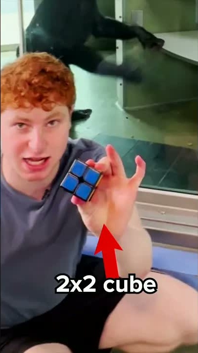 The world's smartest ape solves a Rubik's Cube!