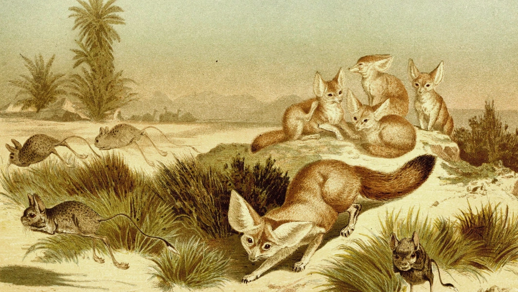 Animal adaptations to extreme weather in the US