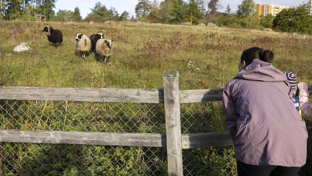 13 cultural and natural wonders of Sweden