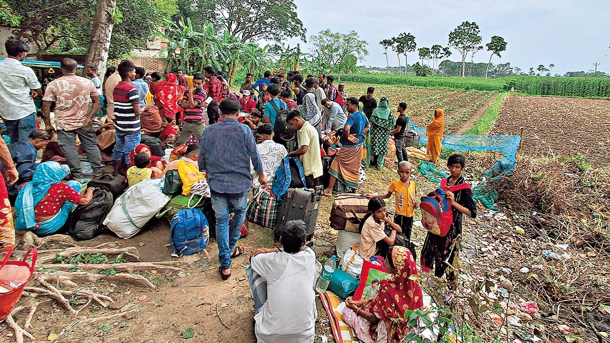 Bengal plugs borders
