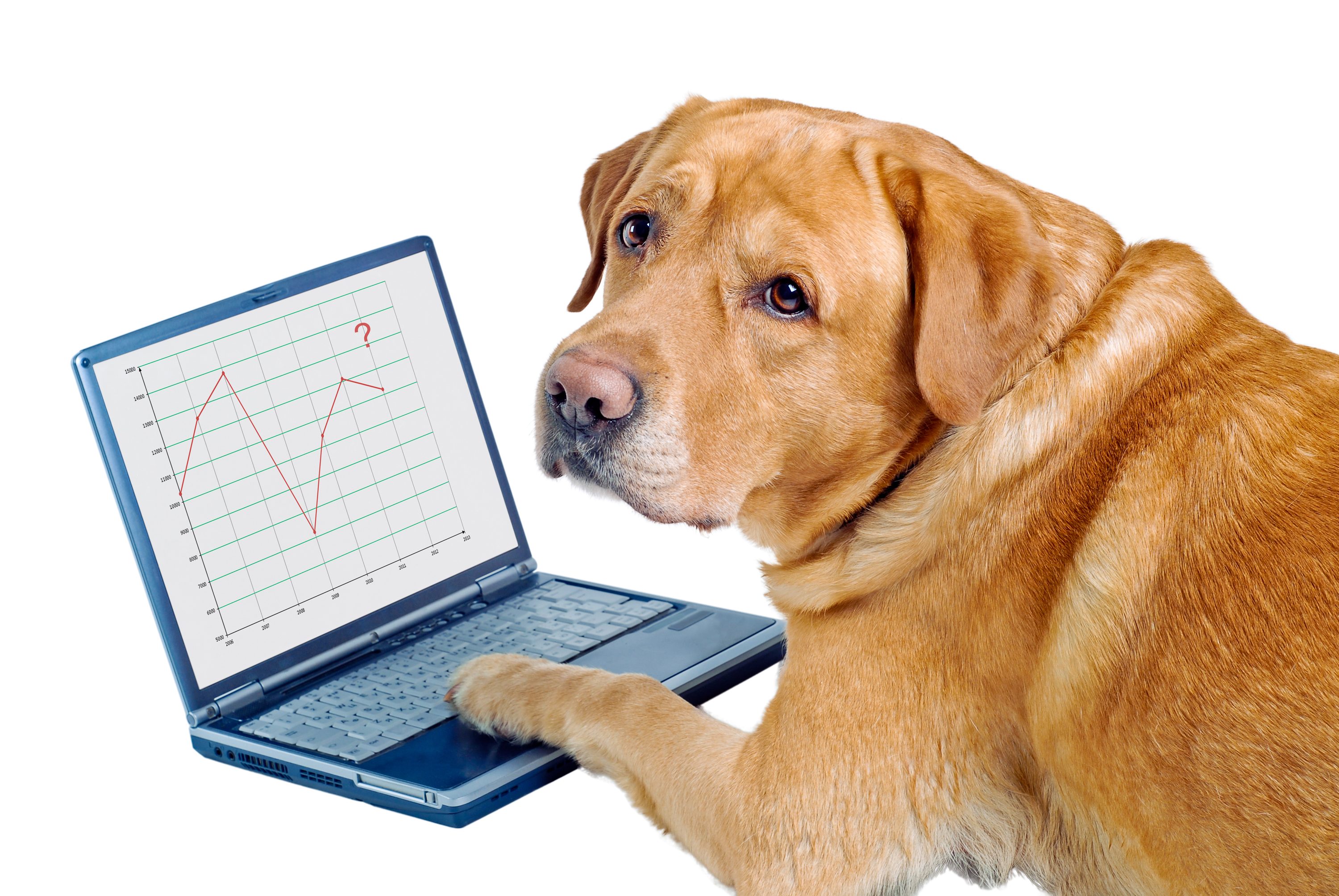 Why Dogecoin still has a legitimate case as a long-term investment