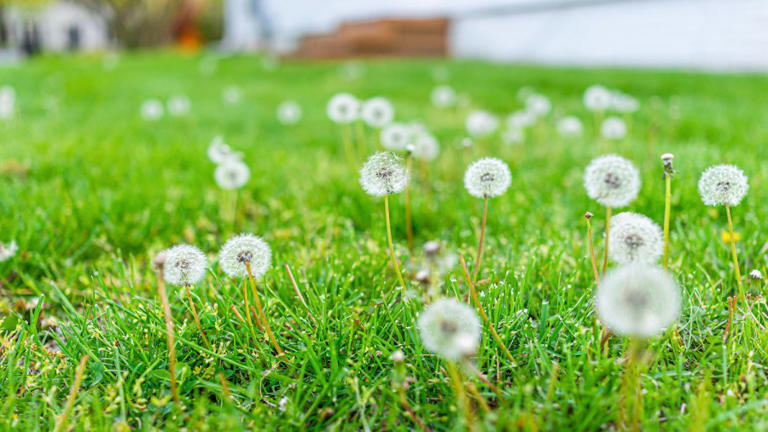 Sunday marks the official first day of summer