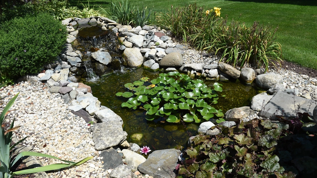 Transform your garden with dreamy water features