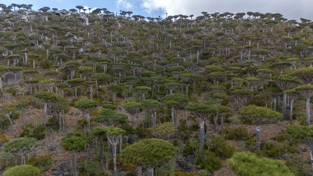 13 extraordinary natural wonders and phenomena