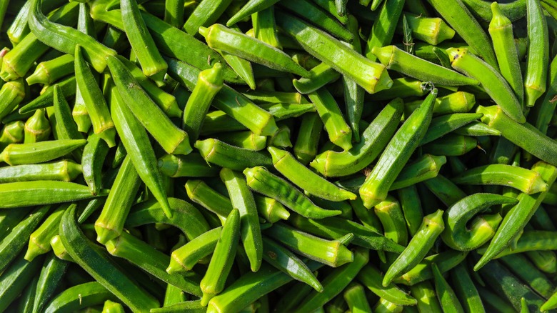 What is okra and how do you cook it?