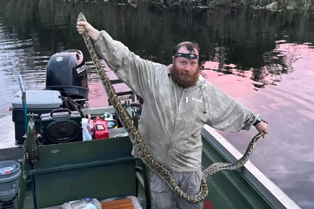 'Finally after 3 tries, I got myself a python': Invasive Burmese snake ...