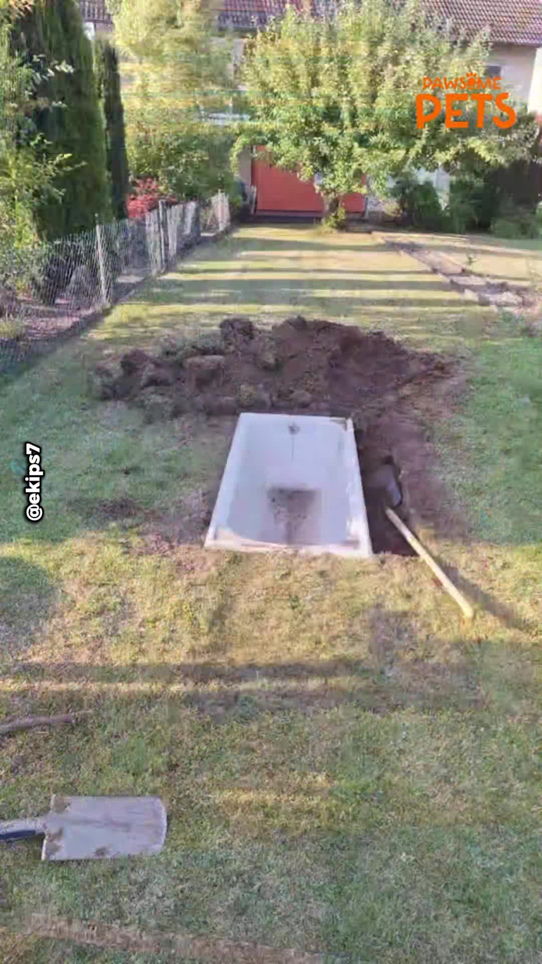 Man's DIY backyard project wins over dog lovers online