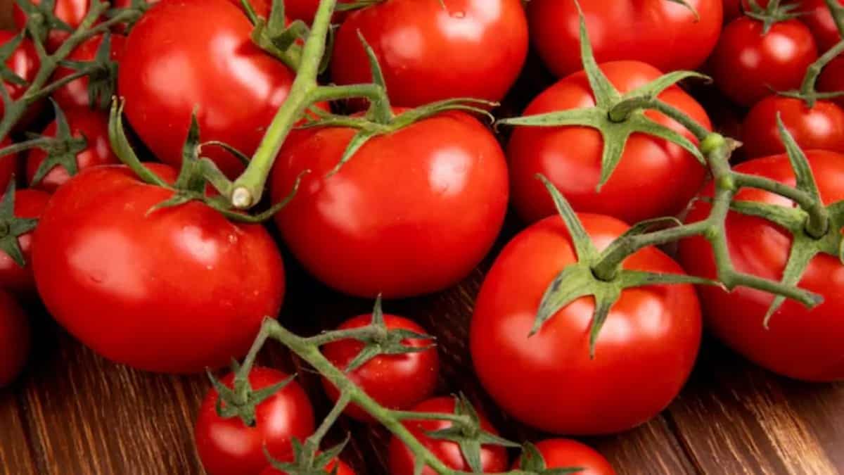 Tomato storage hacks to keep them fresh and juicy