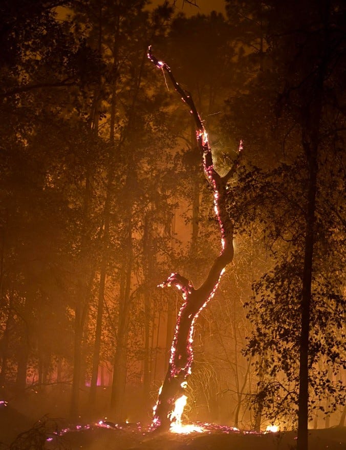 Rainy season arrives, but Florida wildfires are still burning