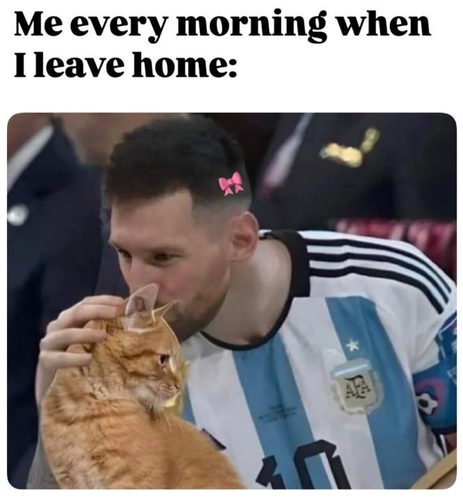 Is Messi doing it again? 23 Messi memes for World Cup fans trusting the ...