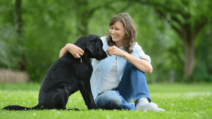 10 smart and loyal dog breeds, with real-life tradeoffs