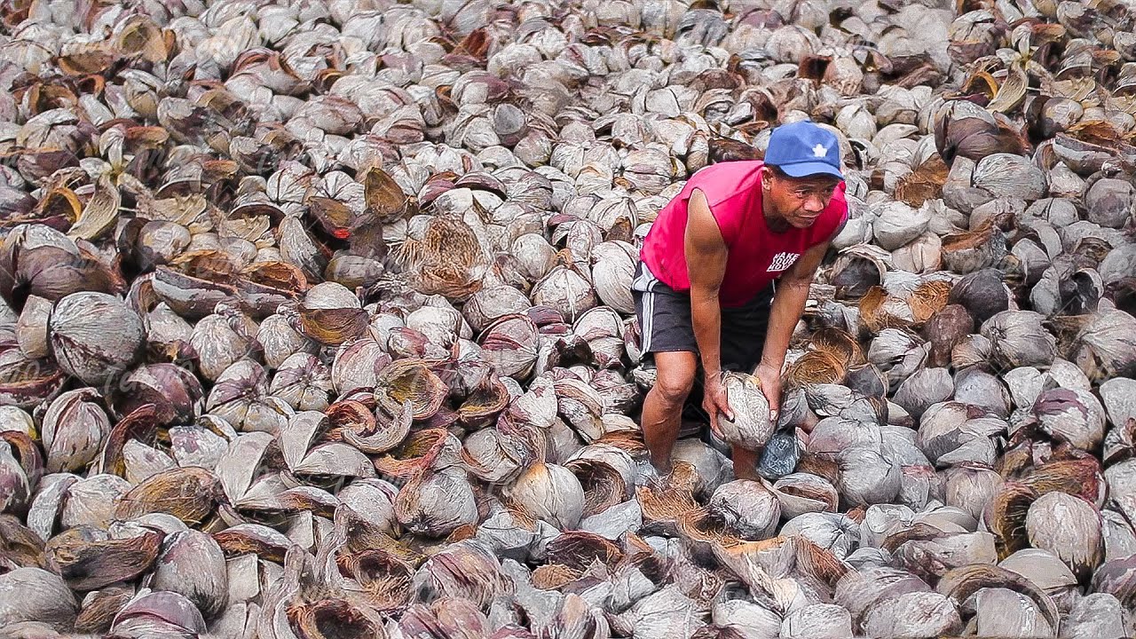How local farmers produce tons of extremely rare salt every year