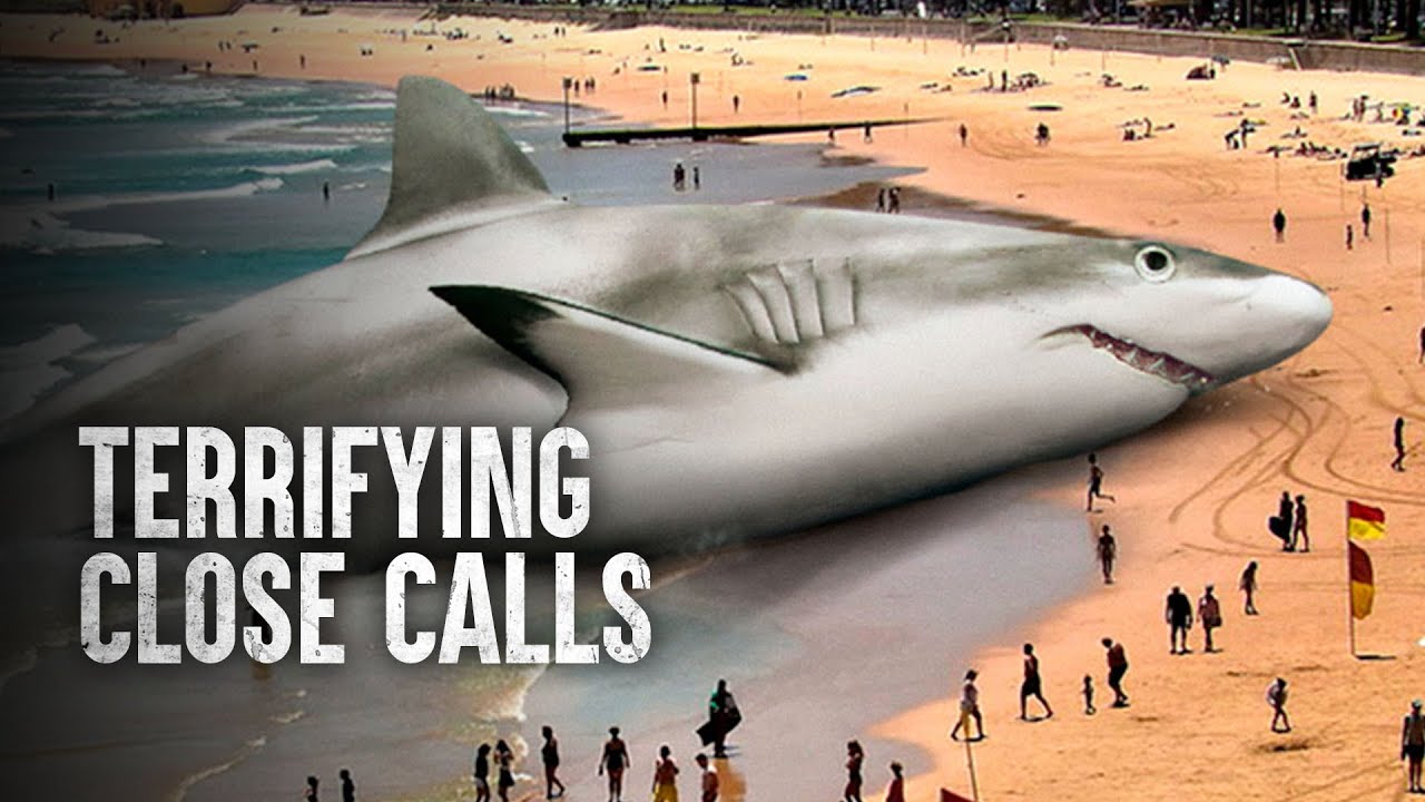 Discover the chilling science behind 5 scary shark encounters
