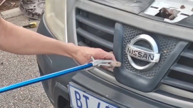 Video shows snake handler pulling venomous cobra from a car after man ...