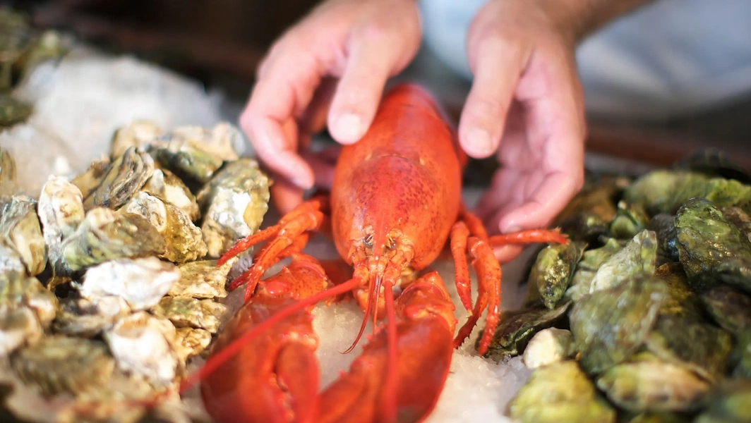 5 Rhode Island waterfront dining destinations