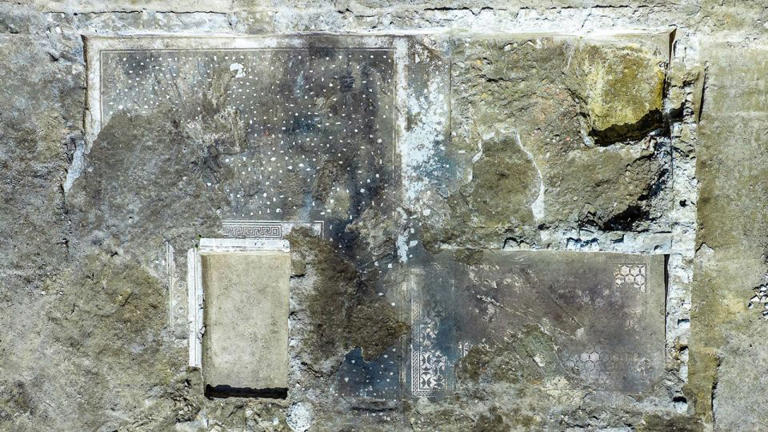 Illegal excavation reveals grand Roman villa with elaborate mosaics