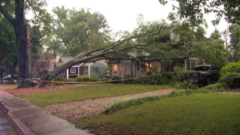 Large tree falls onto house during rain storm in Charlotte