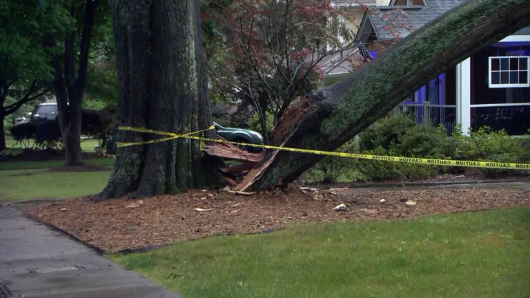 Large tree falls onto house during rain storm in Charlotte