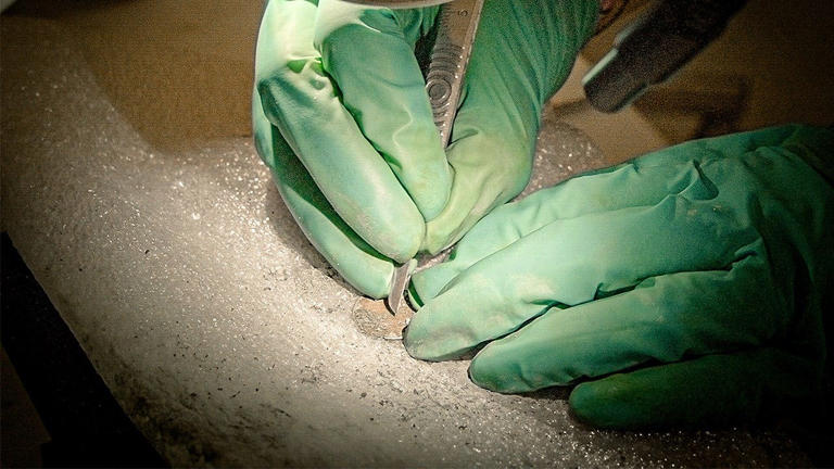 'Dig of the century' beneath Notre Dame reveals mysterious markings ...