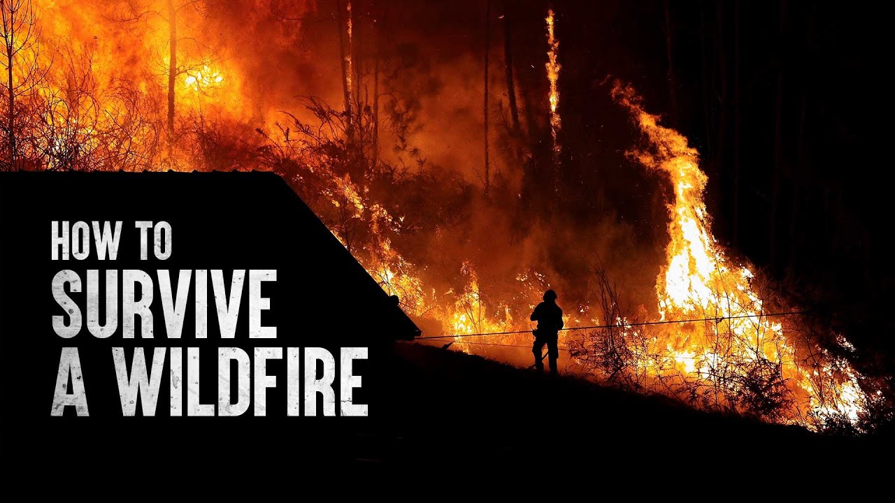 Learn the primary survival strategies to endure a violent wildfire