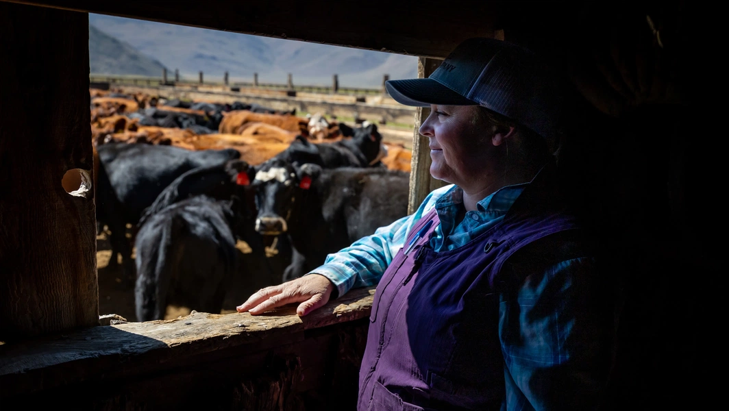 7 historic ranches preserving America’s ranching heritage