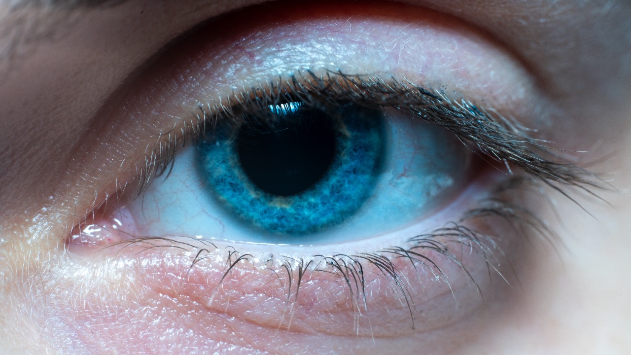 All blue-eyed people may trace back to a single ancestor, geneticists say