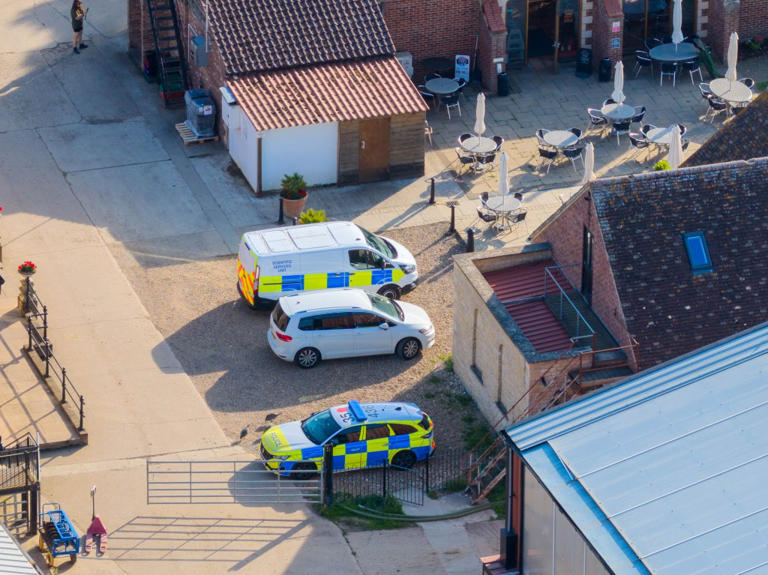 Boy, 3, was thrown into crocodile pit by man with learning disabilities ...