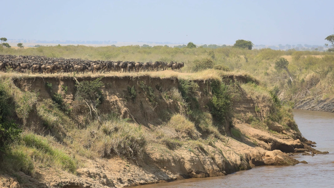 20 incredible wildlife destinations worldwide