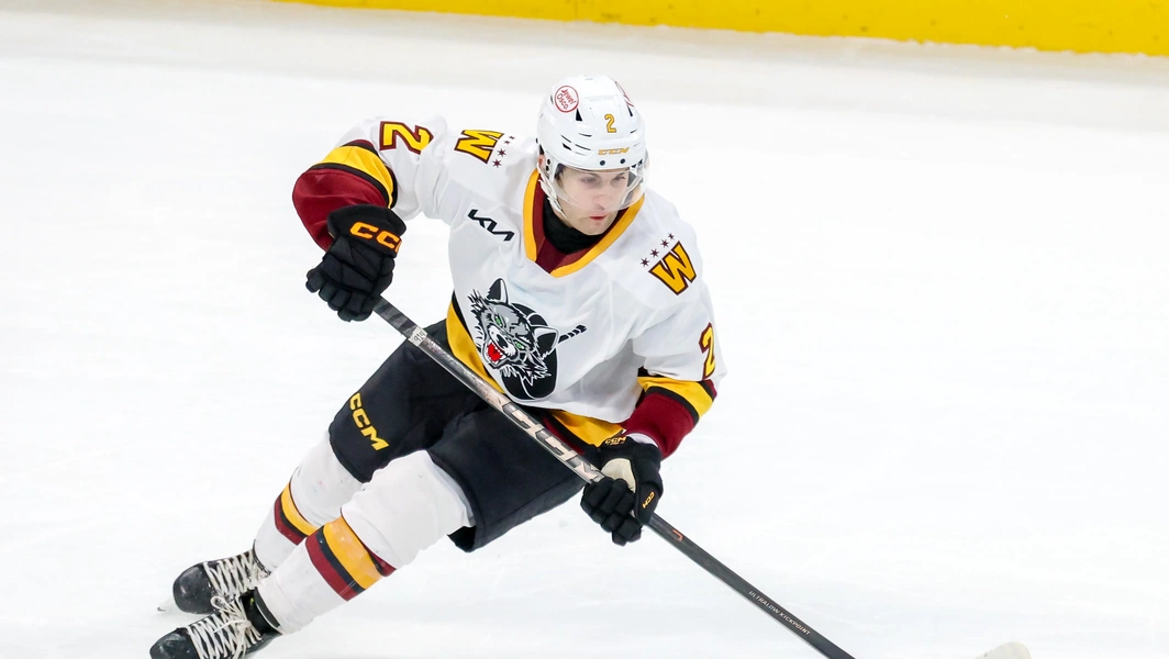 Wolves win in OT to force game 5 against Marlies
