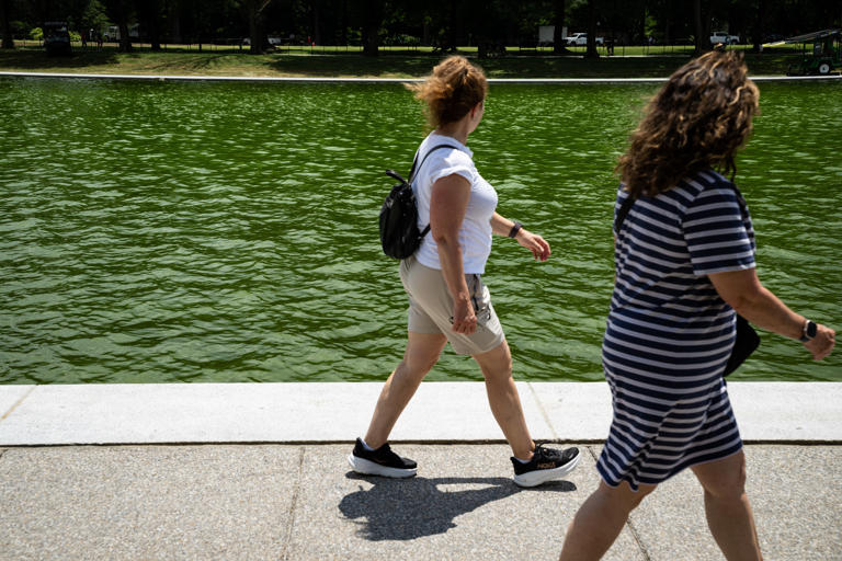 13 brutal reflecting pool jokes and memes that Trump is bound to hate