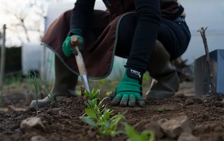 Experts link gardening to measurable brain and mood benefits