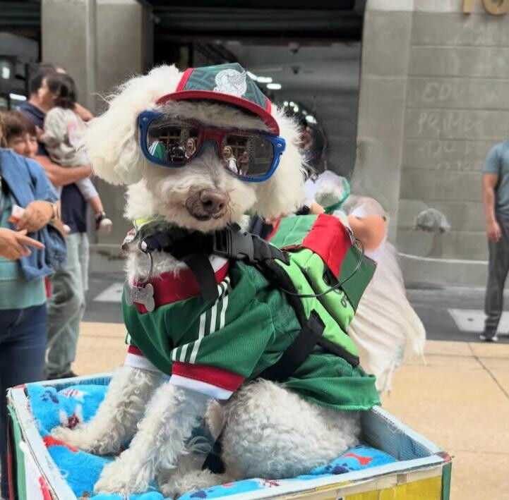 Osito, il cane in bicicletta, diventa una star virale dei Mondiali