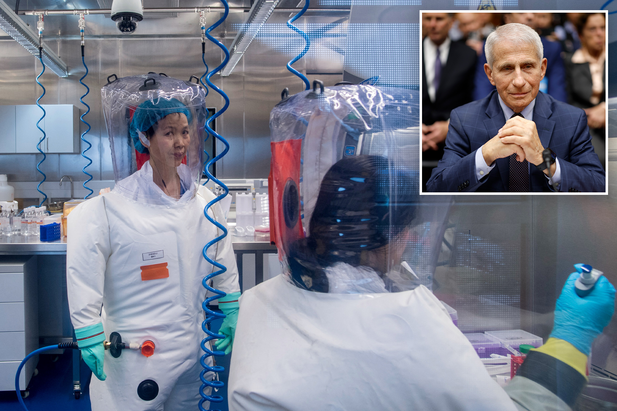Spy agency quashed complaint against Fauci for lying to Congress about ...