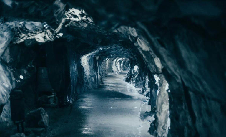 Scientists opened a forgotten cave in Norway and found an Arctic world ...