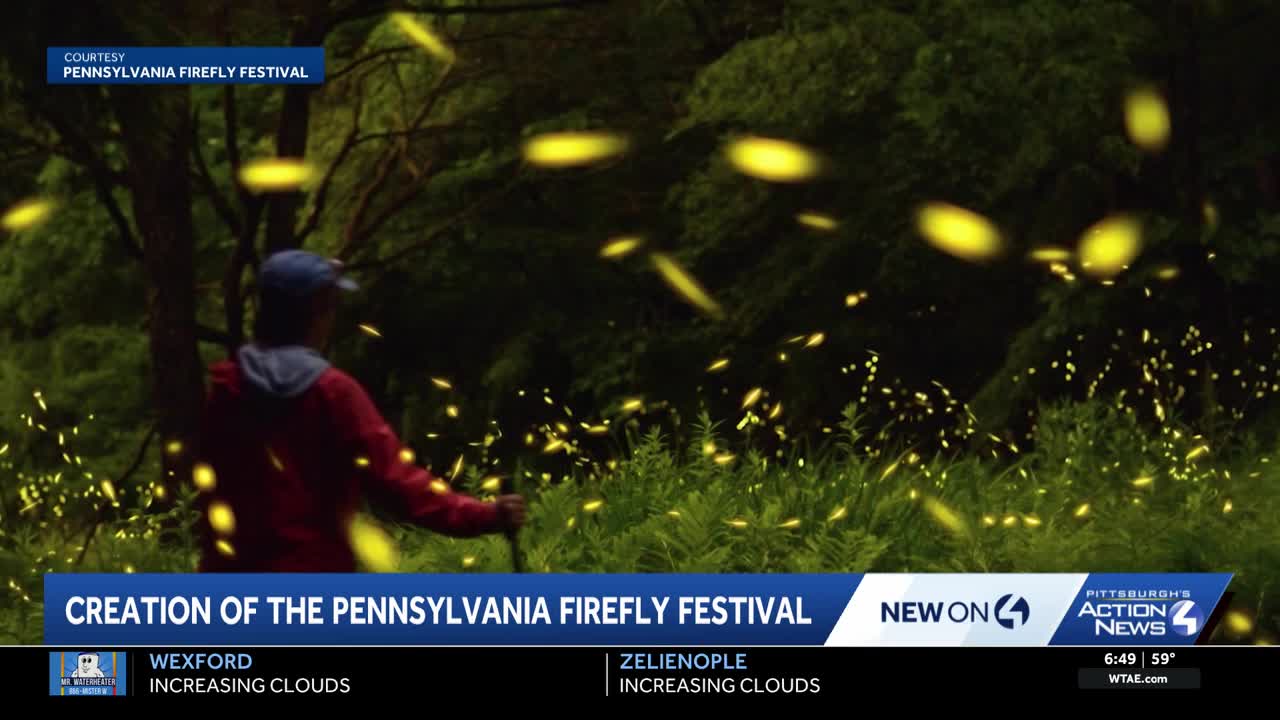 Fireflies illuminate Pennsylvania nights with unique displays